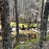 Little Harbor Brook Trail, Maine - 185 Reviews, Map | AllTrails