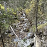Lillian Lake via Galatea Lakes Trail, Alberta, Canada - 2,206 Reviews ...