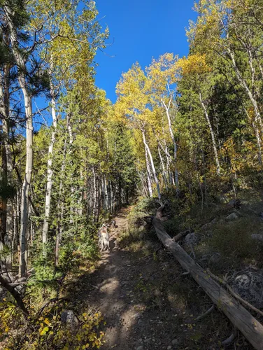 Best Backpacking Trails in Rawah Wilderness | AllTrails