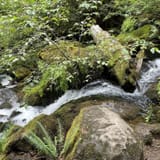 Watson Falls, Oregon - 1,030 Reviews, Map | AllTrails