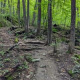 Mount Hunger via Waterbury Trail, Vermont - 1,362 Reviews, Map | AllTrails
