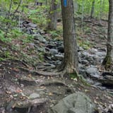 Mount Hunger via Waterbury Trail, Vermont - 1,362 Reviews, Map | AllTrails