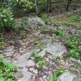 Mount Hunger via Waterbury Trail, Vermont - 1,362 Reviews, Map | AllTrails