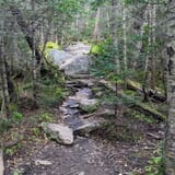 Mount Hunger via Waterbury Trail, Vermont - 1,362 Reviews, Map | AllTrails
