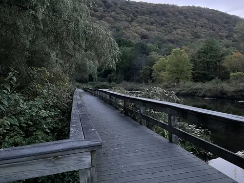 Best Forest Trails in Labrador Hollow Unique Area | AllTrails