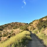 Getty View Trail, California - 794 Reviews, Map | AllTrails