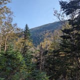 Presidential Traverse Trail, New Hampshire - 1,521 Reviews, Map | AllTrails