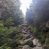 Presidential Traverse Trail, New Hampshire - 1,521 Reviews, Map | AllTrails
