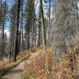 Morrell Falls National Recreation Trail, Montana - 507 Reviews, Map ...