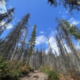 Morrell Falls National Recreation Trail, Montana - 560 Reviews, Map ...