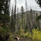 Morrell Falls National Recreation Trail, Montana - 618 Reviews, Map ...