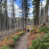 Morrell Falls National Recreation Trail, Montana - 618 Reviews, Map ...