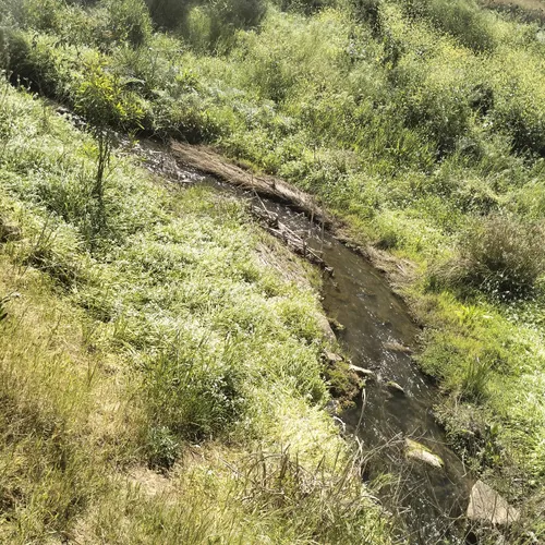 Best Hikes and Trails in Little Para River Nature Reserve | AllTrails