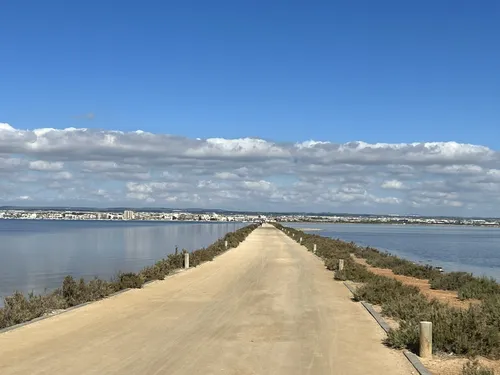 Best Wild Flowers Trails in Parque Regional Salinas y Arenales de San ...