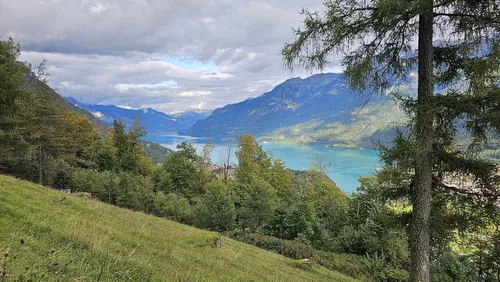 Best Views Trails in Unterseen | AllTrails