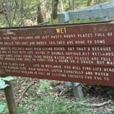 Sinking Waters Trail, Tennessee - 190 Reviews, Map | AllTrails