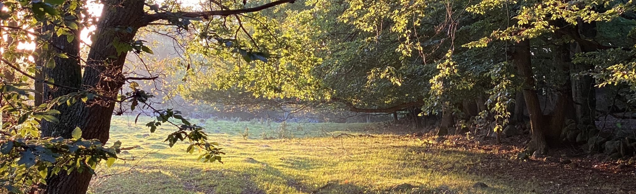 Skåneleden Stage 9: Heinge - Lövestad's ridges: 3 foto's - Skåne ...