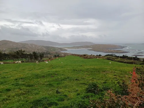 Best Hikes and Trails in Derrynane National Historic Park | AllTrails