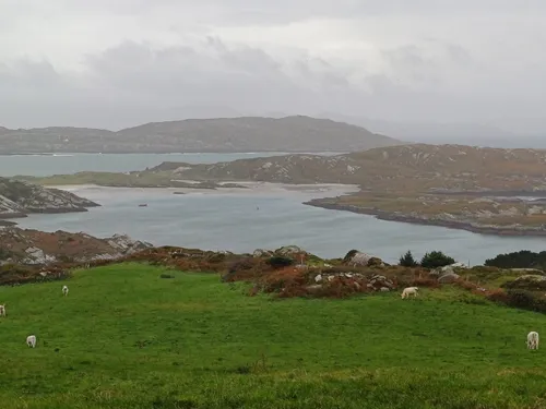 Best Hikes and Trails in Derrynane National Historic Park | AllTrails