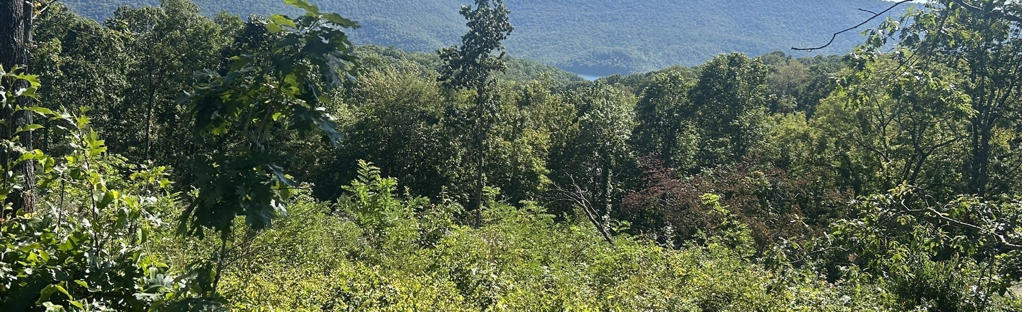 Old Loggers and Stony Trail Loop, Pennsylvania - 34 Reviews, Map ...