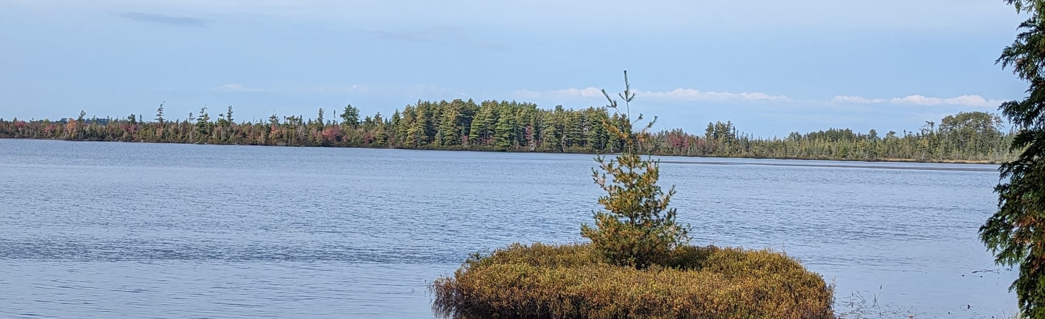 Clark Lake Loop, Michigan - 83 Reviews, Map | AllTrails