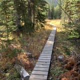 Akamina Pass, Wall Lake, and Forum Lake Trail Loop, Alberta, Canada ...
