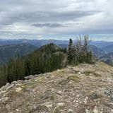 Cinnamon Mountain Trail, Montana - 231 Reviews, Map | AllTrails