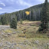 Cinnamon Mountain Trail, Montana - 231 Reviews, Map | AllTrails