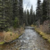 Karst Spring Trail, Alberta, Canada - 845 Reviews, Map | AllTrails