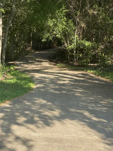 Best Forest Trails in Pflugerville | AllTrails