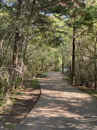 Best Forest Trails in Pflugerville | AllTrails