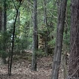 Little Gap Trail, South Carolina - 644 Reviews, Map | AllTrails