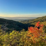 Big Rock Via Elephant Rock Trail, Utah - 2,347 Reviews, Map | AllTrails