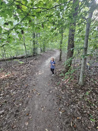 2023 Best Short Trails in Warriors' Path State Park | AllTrails