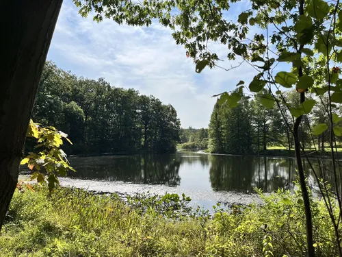 Best Hikes and Trails in Holden Arboretum | AllTrails