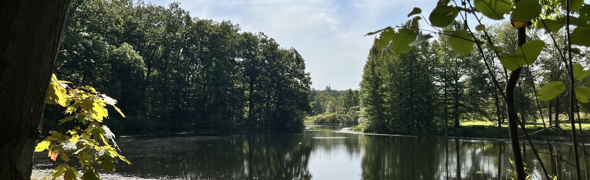 Holden Arboretum Loop, Ohio - 280 Reviews, Map | AllTrails