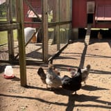 Kinder Farm Park Trail, Maryland - 1,256 Reviews, Map | AllTrails