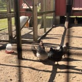 Kinder Farm Park Trail, Maryland - 1,256 Reviews, Map | AllTrails