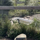 Kinder Farm Park Trail, Maryland - 1,256 Reviews, Map | AllTrails