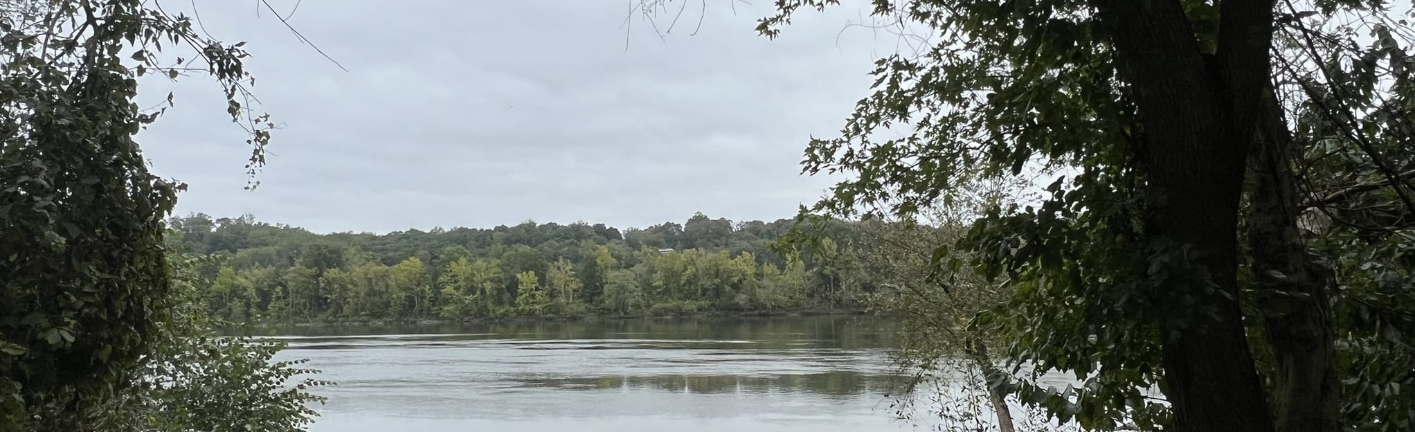 Pony Pasture Rapids Trails, Virginia - 1,126 Reviews, Map | AllTrails