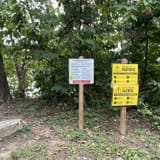 Pony Pasture Rapids Trails, Virginia - 1,237 Reviews, Map | AllTrails