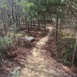 Brandon Quarry Trails, Mississippi - 458 Reviews, Map | AllTrails
