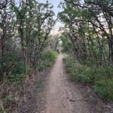 Kaysville East Mountain Wilderness Park Trail, Utah - 474 Reviews, Map ...