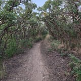 Kaysville East Mountain Wilderness Park Trail, Utah - 474 Reviews, Map ...