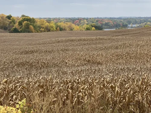 Best Hikes and Trails in Lake Brophy County Park | AllTrails
