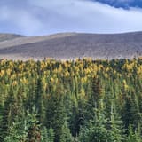 Elbow Loop Trail, Alberta, Canada - 191 Reviews, Map | AllTrails