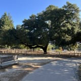 Ragle Ranch Extended Loop, California - 730 Reviews, Map | AllTrails