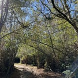 Ragle Ranch Extended Loop, California - 730 Reviews, Map | AllTrails