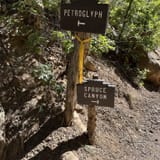 Spruce Canyon Trail, Colorado - 337 Reviews, Map | AllTrails