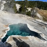 Old Faithful Geyser Loop Trail, Montana - 925 Reviews, Map | AllTrails